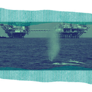 OPSur | Observatorio Petrolero Sur