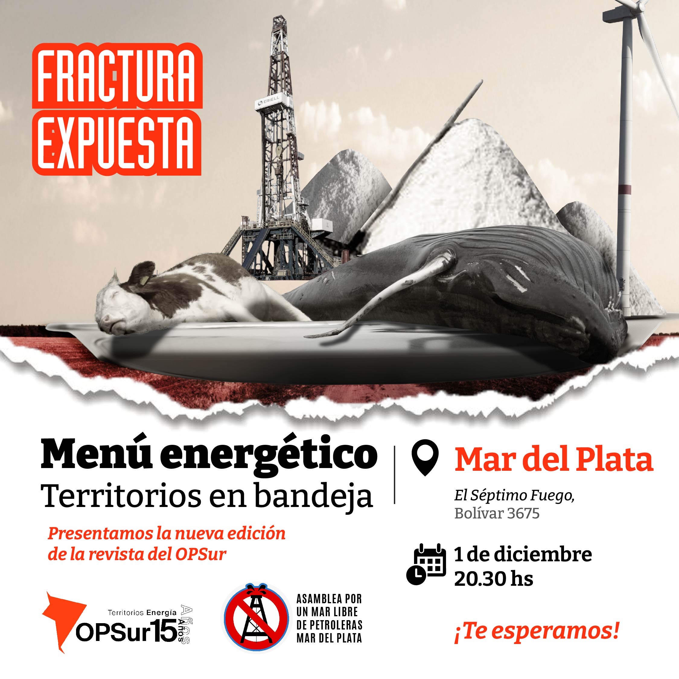 1/12 | Mar del Plata: presentación de la revista de OPSur #7 ...
